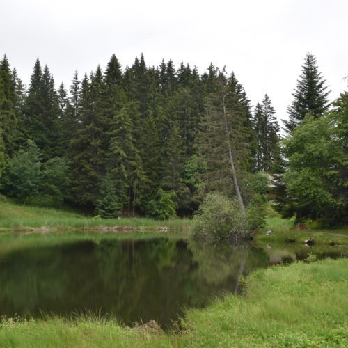 🆕 Le lac des Joncs | Week-end famille